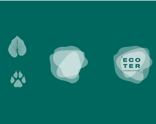 Ecoter dévoile son nouveau visage ! – Magazine & Fils.