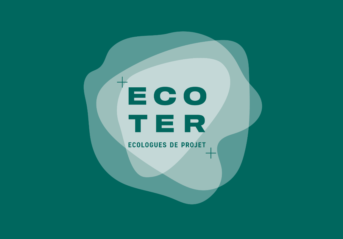 Ecoter dévoile son nouveau visage ! – Magazine & Fils.